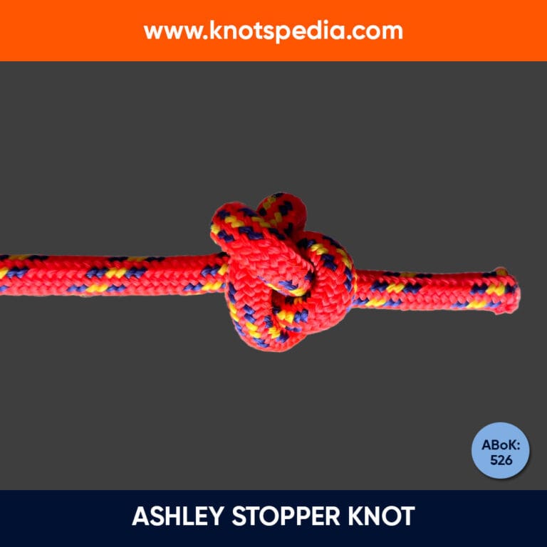 Learn how to tie arborist knots with knotspedia