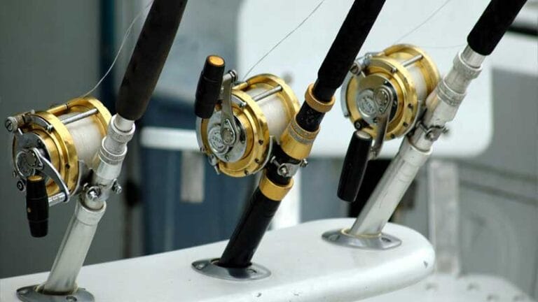 Knot and Rope Terminology (100+ Terms): A Beginners Guide