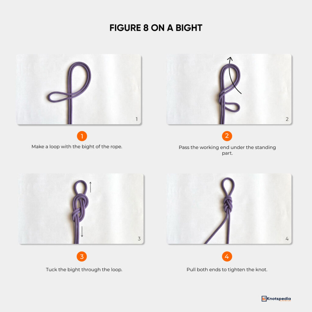 How to Tie a Figure 8 on a Bight Knot (Figure 8 Loop Knot)