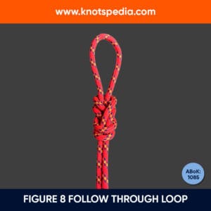 Learn how to tie loop knots with knotspedia
