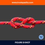 Basic Knots | Learn How to Tie Basic Knots with Knotspedia
