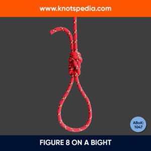 How to Tie a Perfect Figure 8 Knot (5 Useful Variations)