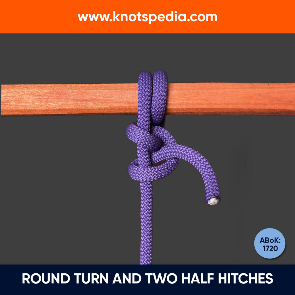 Types of Knots: 25+ Essential Knots Everyone Should Learn