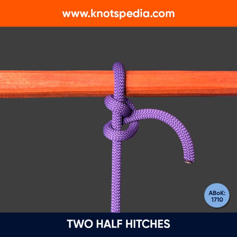 How to Tie the Half Hitch Knot (The Correct Way)
