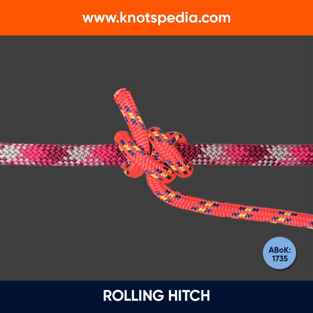 Types of Knots: 25+ Essential Knots Everyone Should Learn