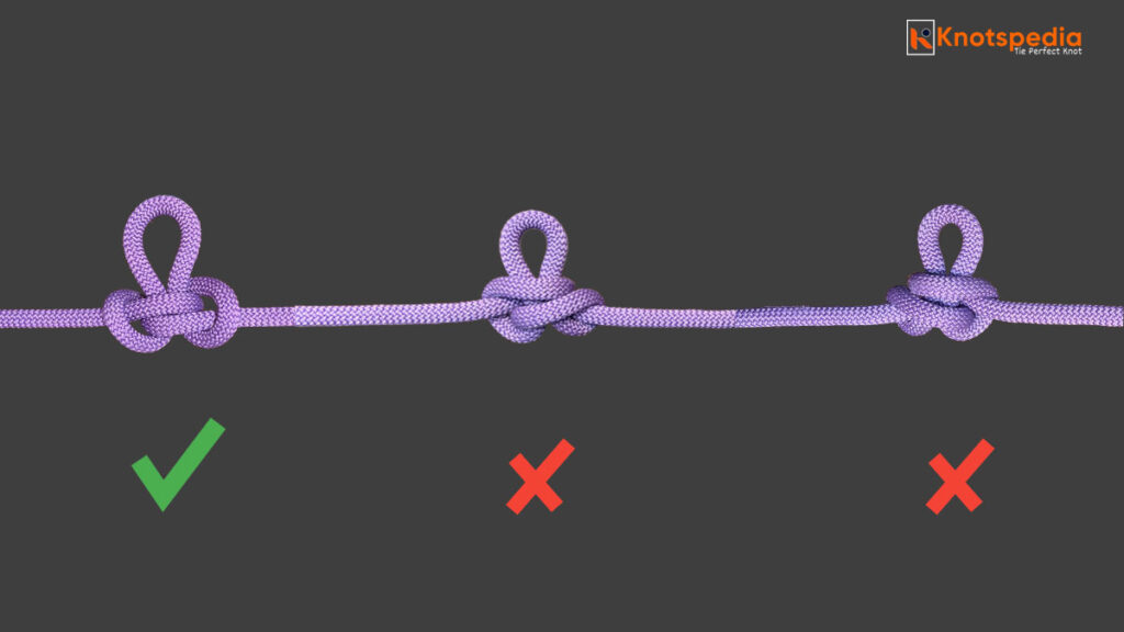 How to Tie the Alpine Butterfly Knot: 10+ Handy Applications