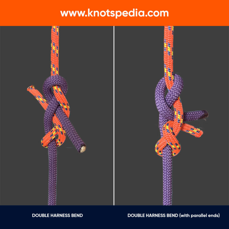 How to Tie a Reever Knot: Step by Step Guide
