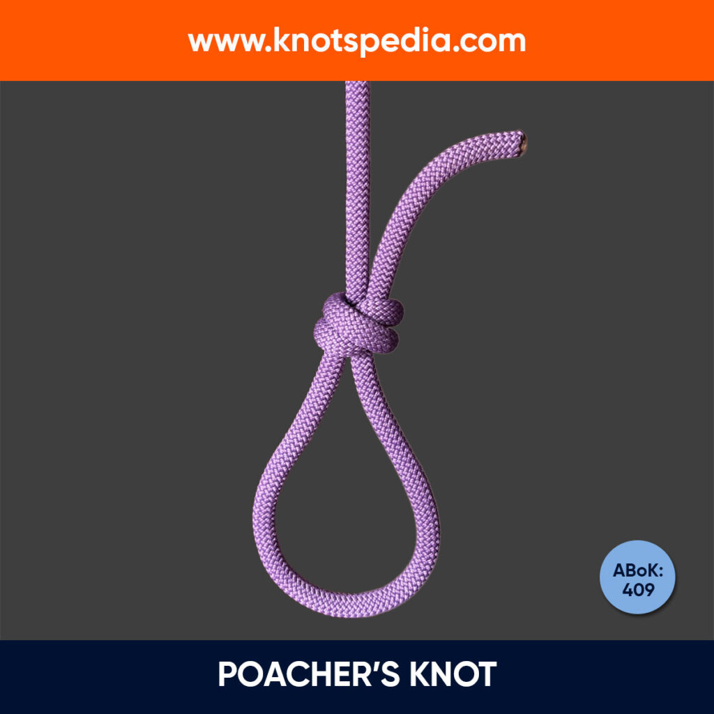 Learn how to tie loop knots with knotspedia