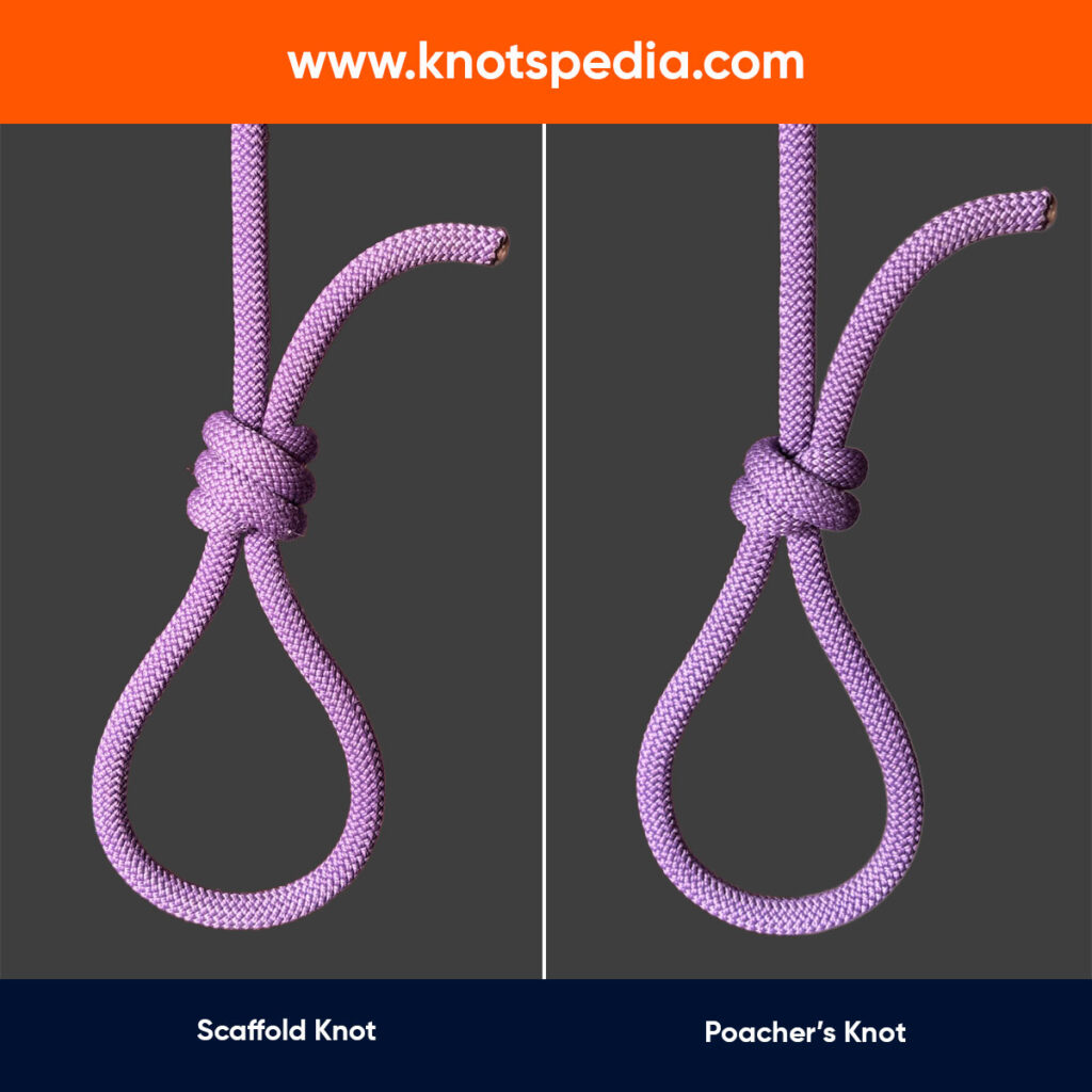 How to Tie the Poacher's Knot | Knotspedia