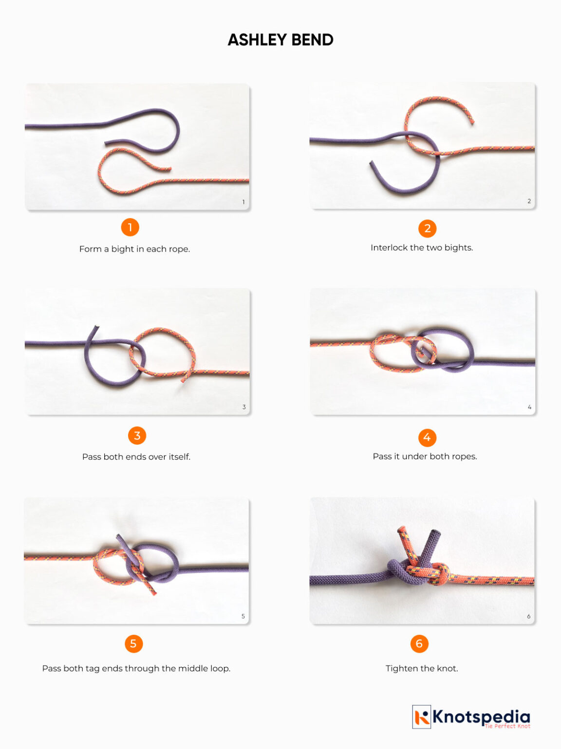 How to Tie the Ashley Bend Knot (ABoK #1452) | Knotspedia