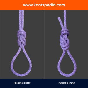 How to Tie the Figure 9 Loop Knot | Knotspedia