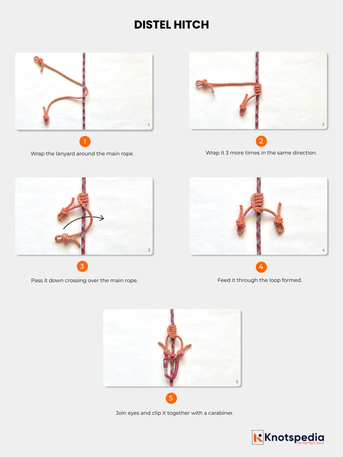 How to Tie the Distel Hitch Step by Step