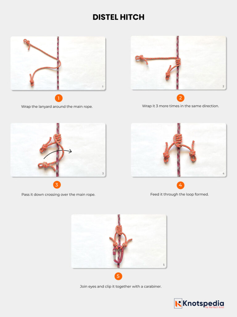 How to Tie the Distel Hitch Step by Step