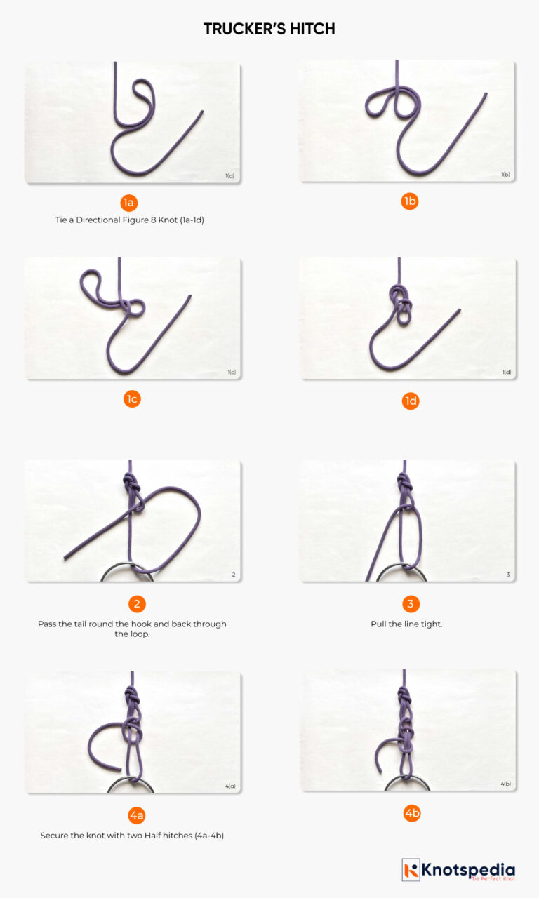 How to Tie a Trucker's Hitch (Lorrymans Hitch) Step by Step