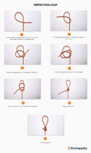 How to Tie the Perfection Loop Knot (Angler's Loop Knot)