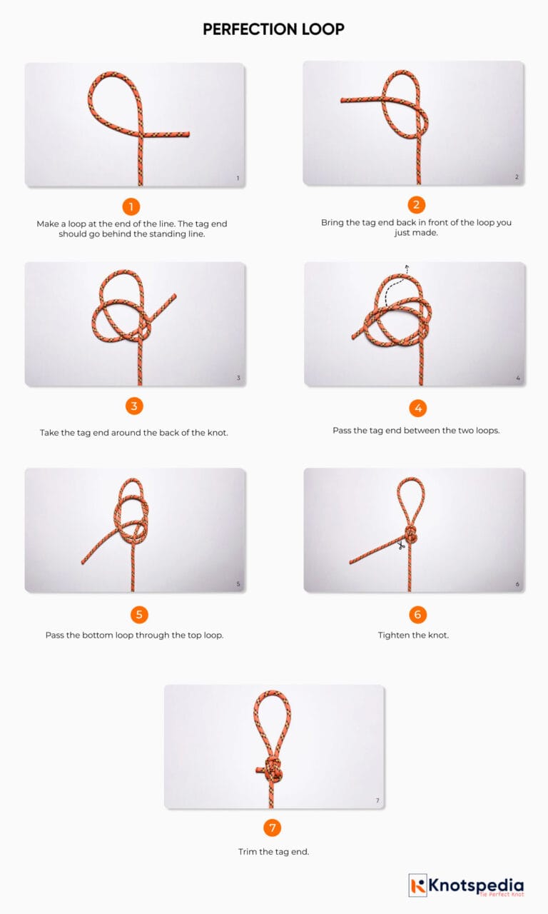 How to Tie the Perfection Loop Knot (Angler's Loop Knot)
