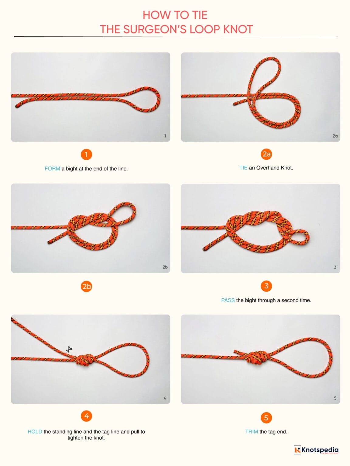 How to Tie the Surgeon's Loop Knot Step by Step
