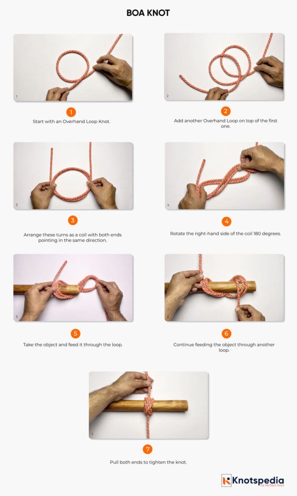 How to Tie the Boa Knot Step by Step | Knotspedia