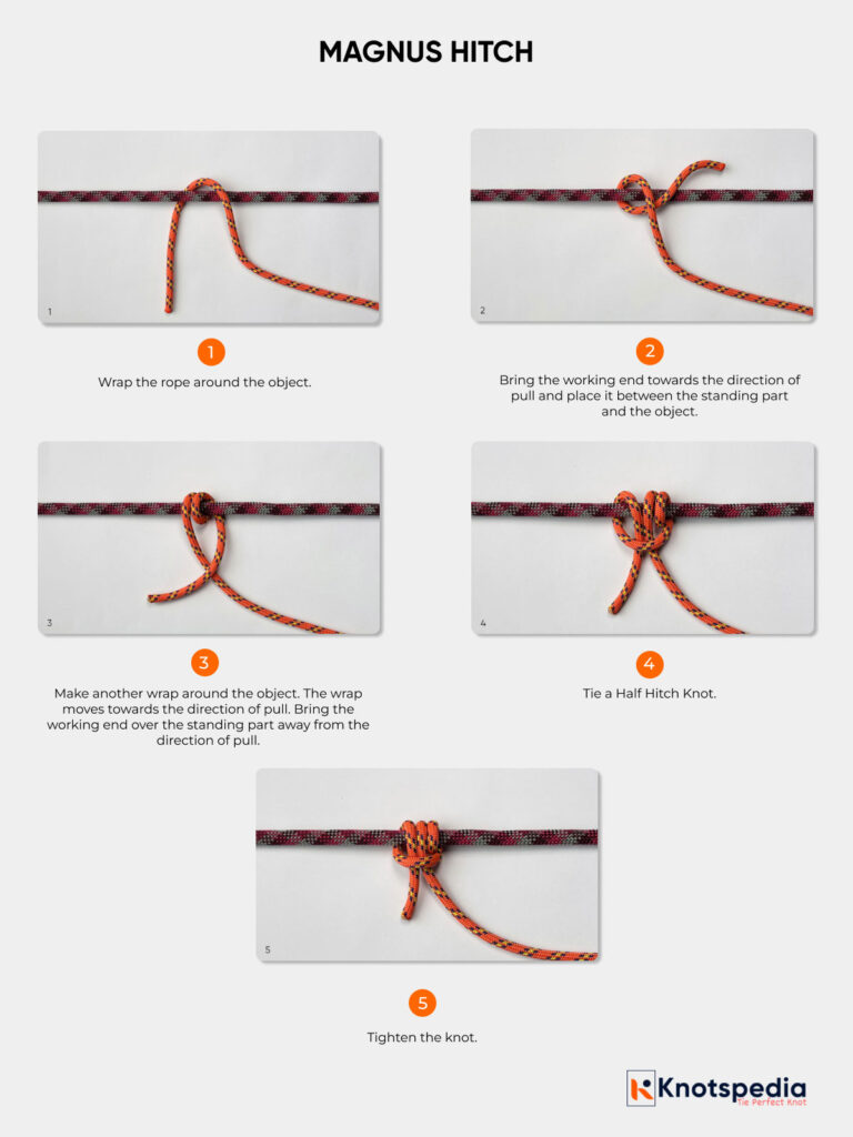 How to Tie the Magnus Hitch Knot Step by Step | Knotspedia