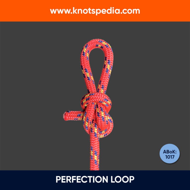 How to Tie a Perfect Figure 8 Knot (5 Useful Variations)