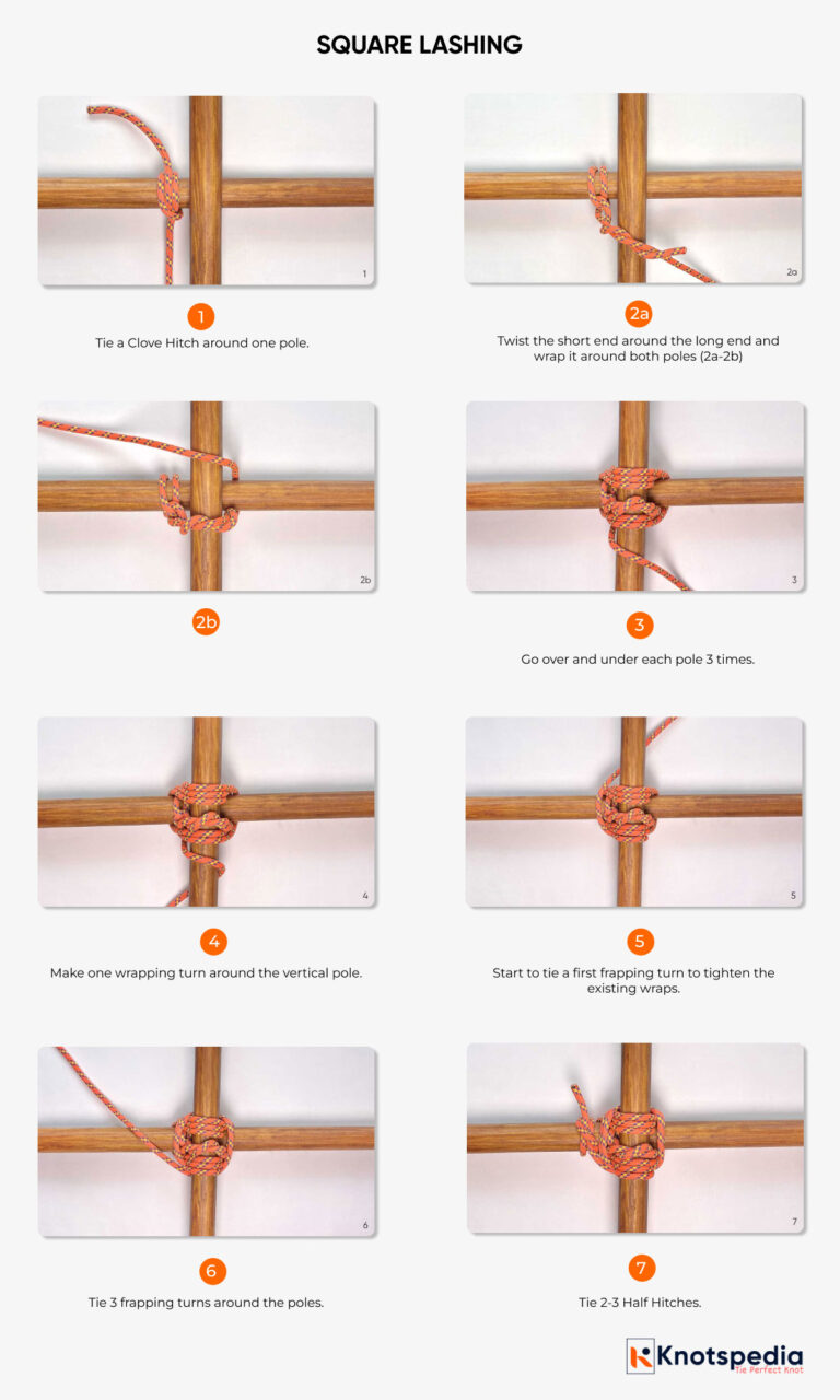 How to Tie a Square Lashing Knot Step by Step | Knotspedia
