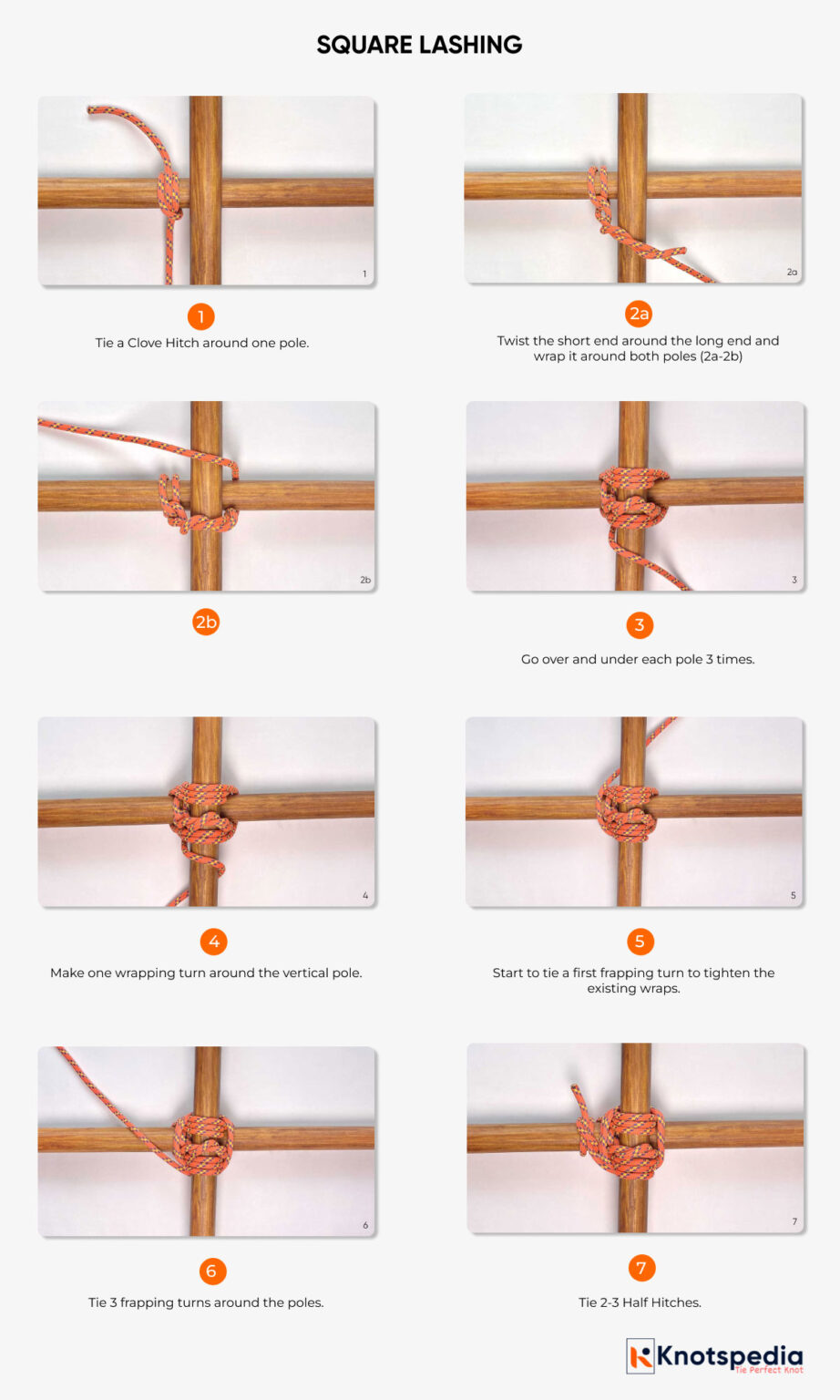 How to Tie a Square Lashing Knot Step by Step | Knotspedia