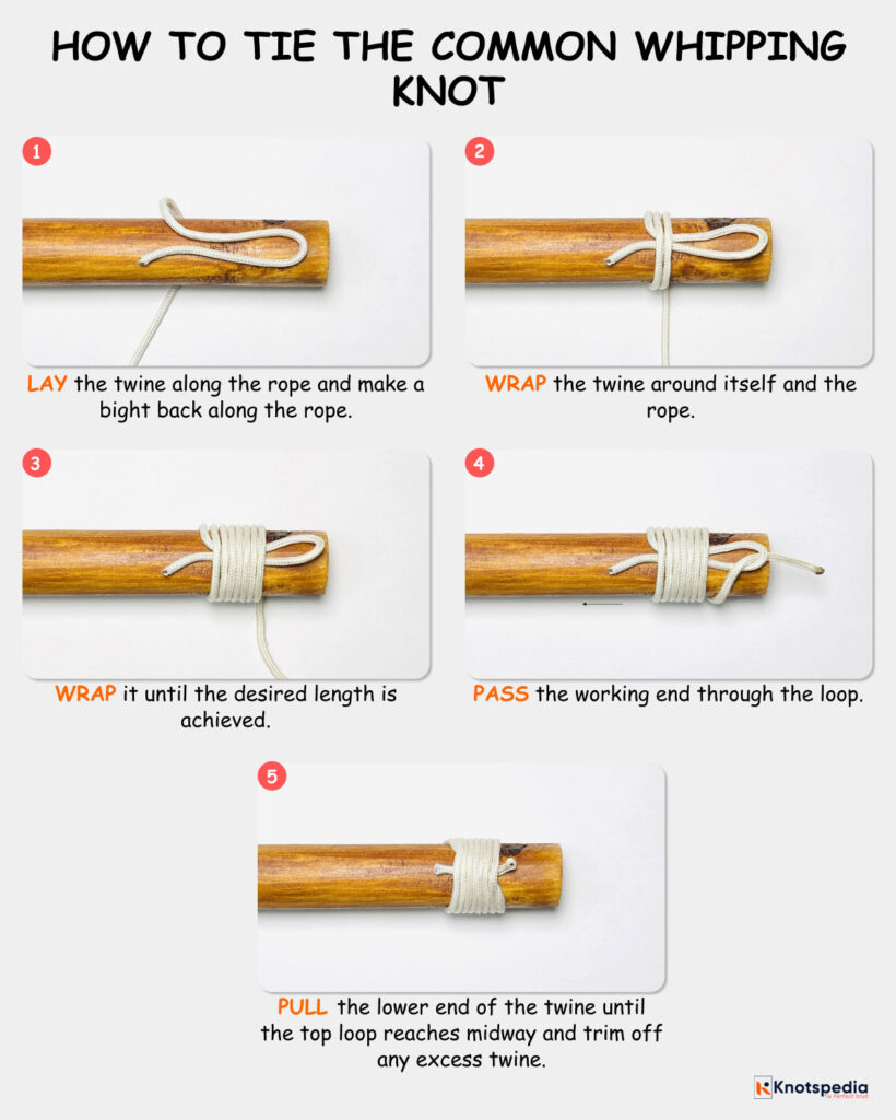 How to Tie a Common Whipping Knot Step by Step