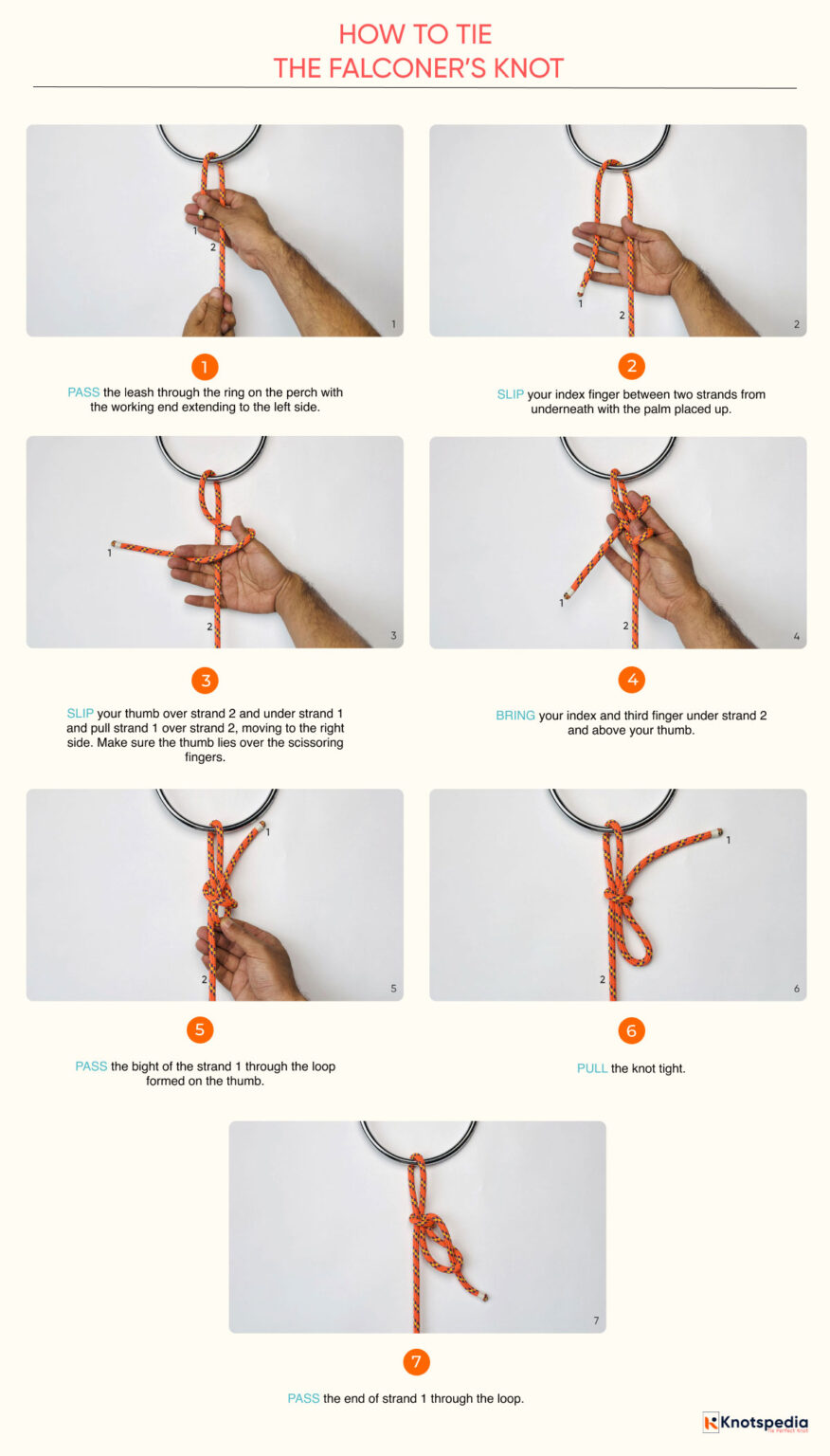 How to Tie a Falconer's Knot (Single Handed Knot)