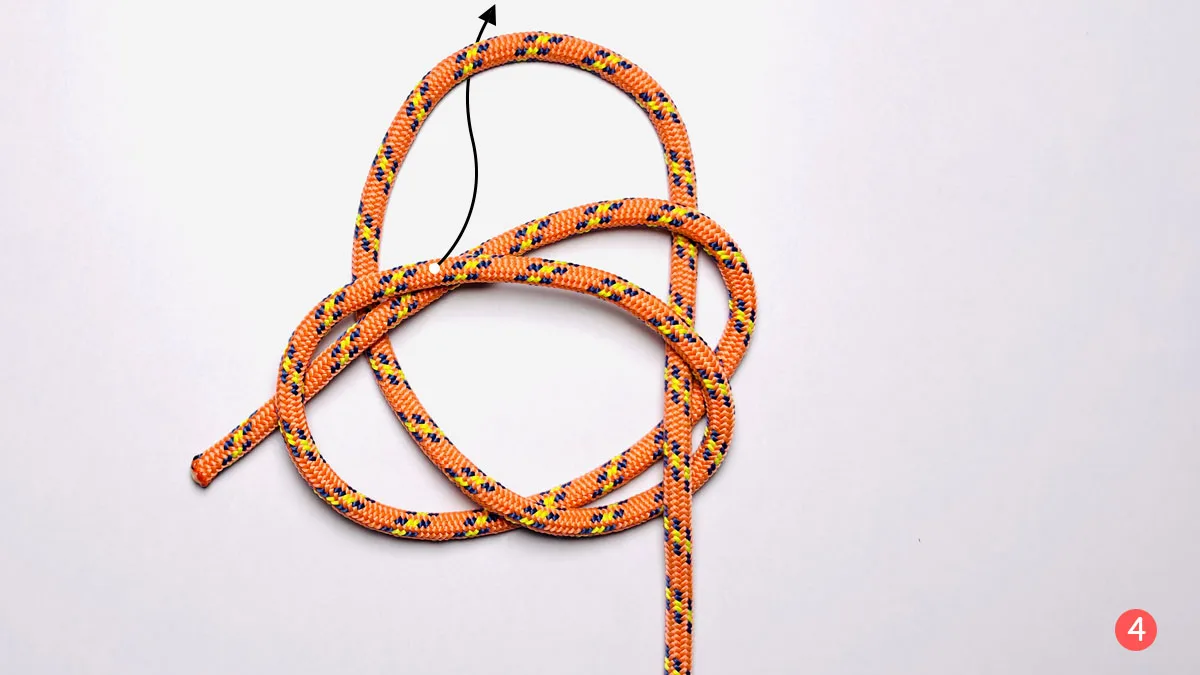 How to Tie the Perfection Loop Knot (Angler's Loop Knot)