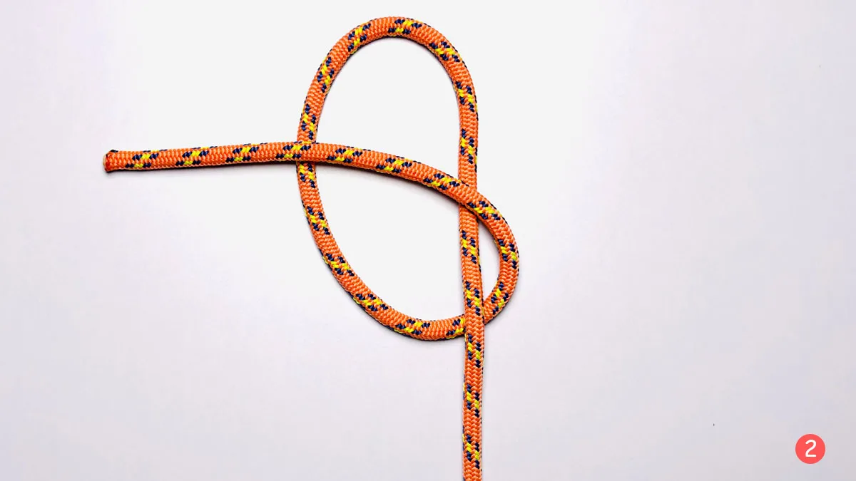 How to Tie the Perfection Loop Knot (Angler's Loop Knot)