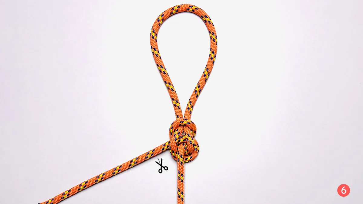 How to Tie the Perfection Loop Knot (Angler's Loop Knot)