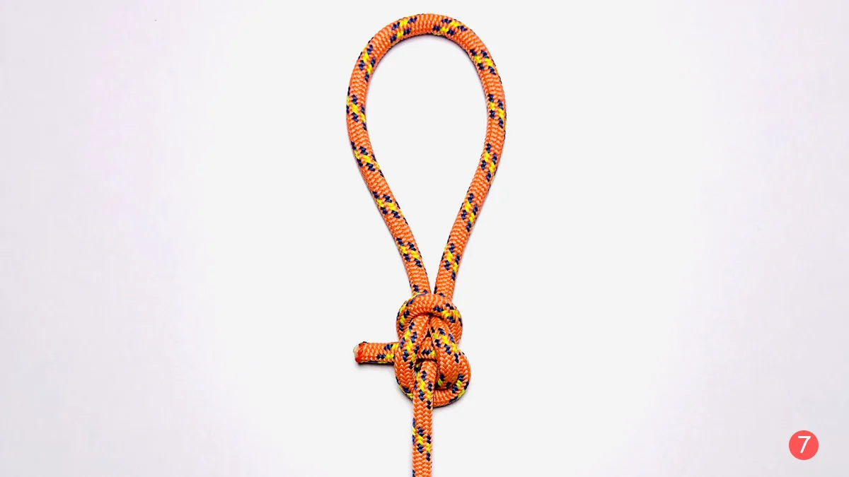 How to Tie the Perfection Loop Knot (Angler's Loop Knot)